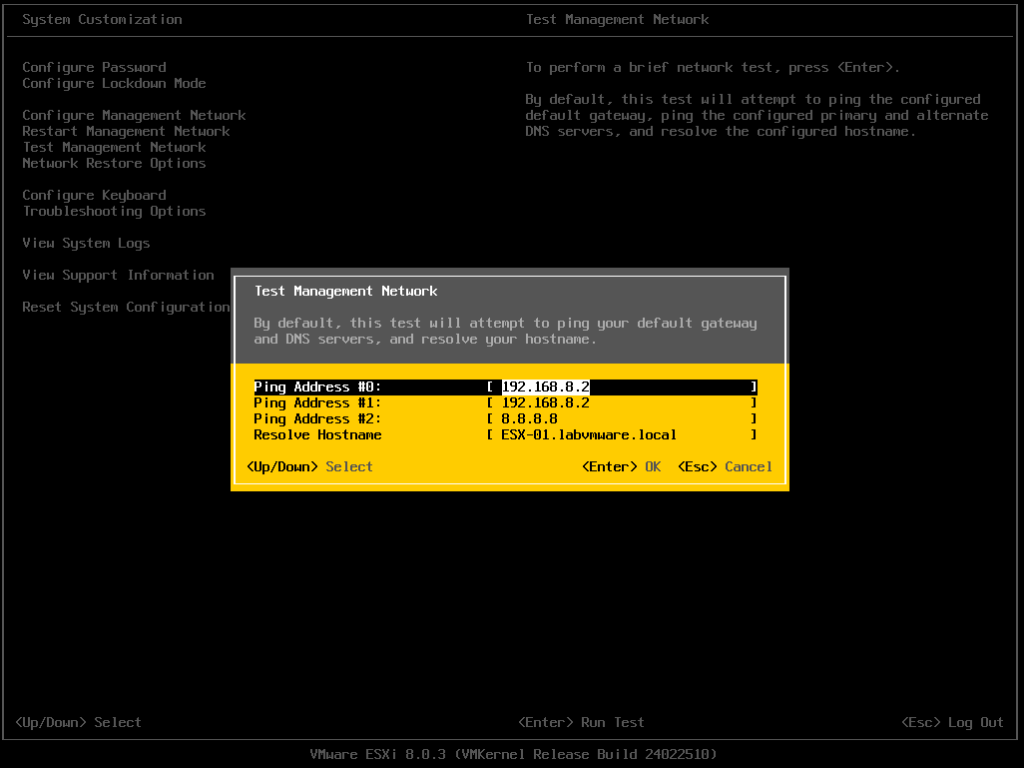 Installer et configurer un hyperviseur VMware ESXi 8 - Blog de Omid AMERI